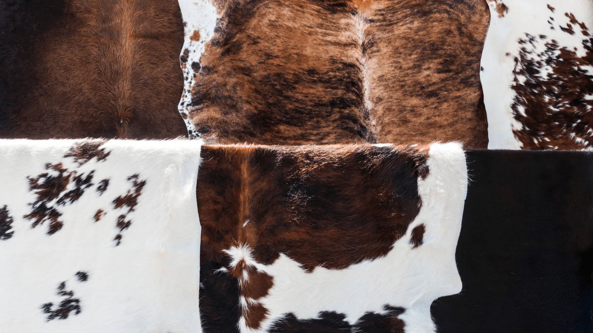 Why Choose Ethically Sourced Animal Hides? | Zosack – Zosack Ltd